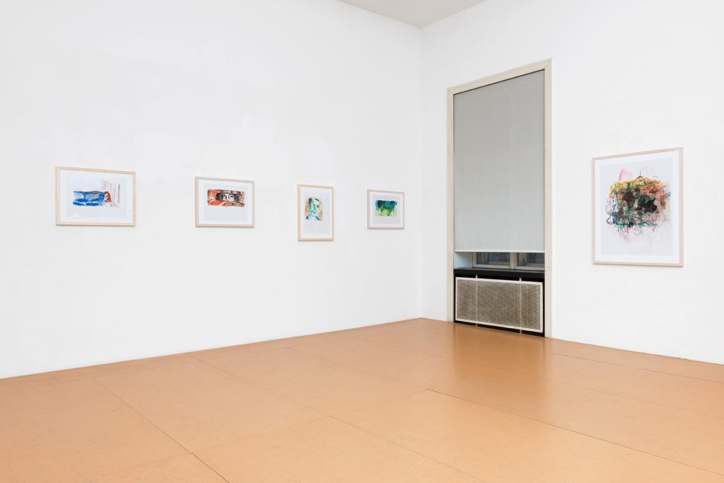 John Kelsey – The Canyons – Boltenstern.Raum : Meyer*Kainer